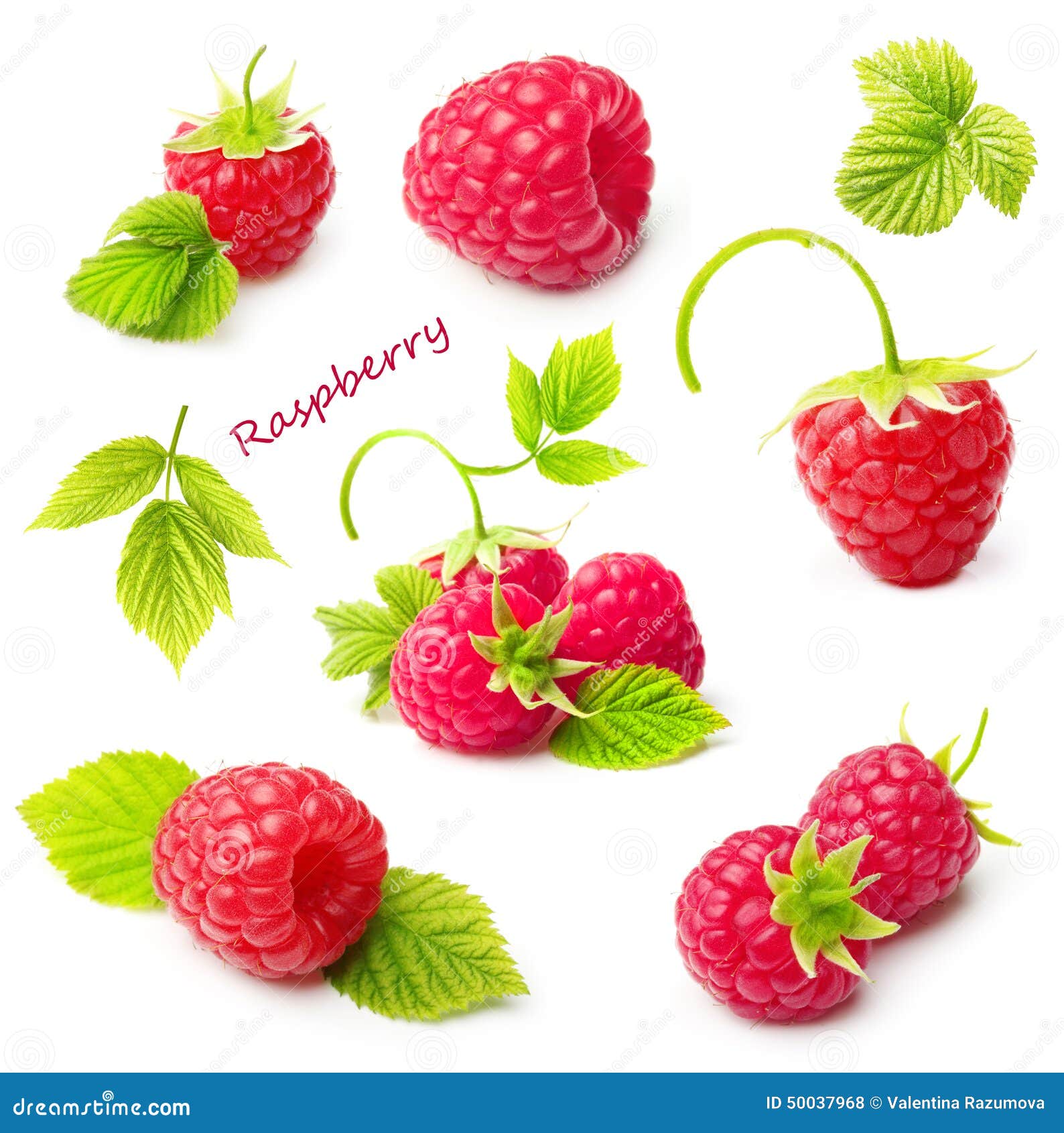 Red Berry Raspberry Isolated Stock Photo - Image of dieting, tasty ...