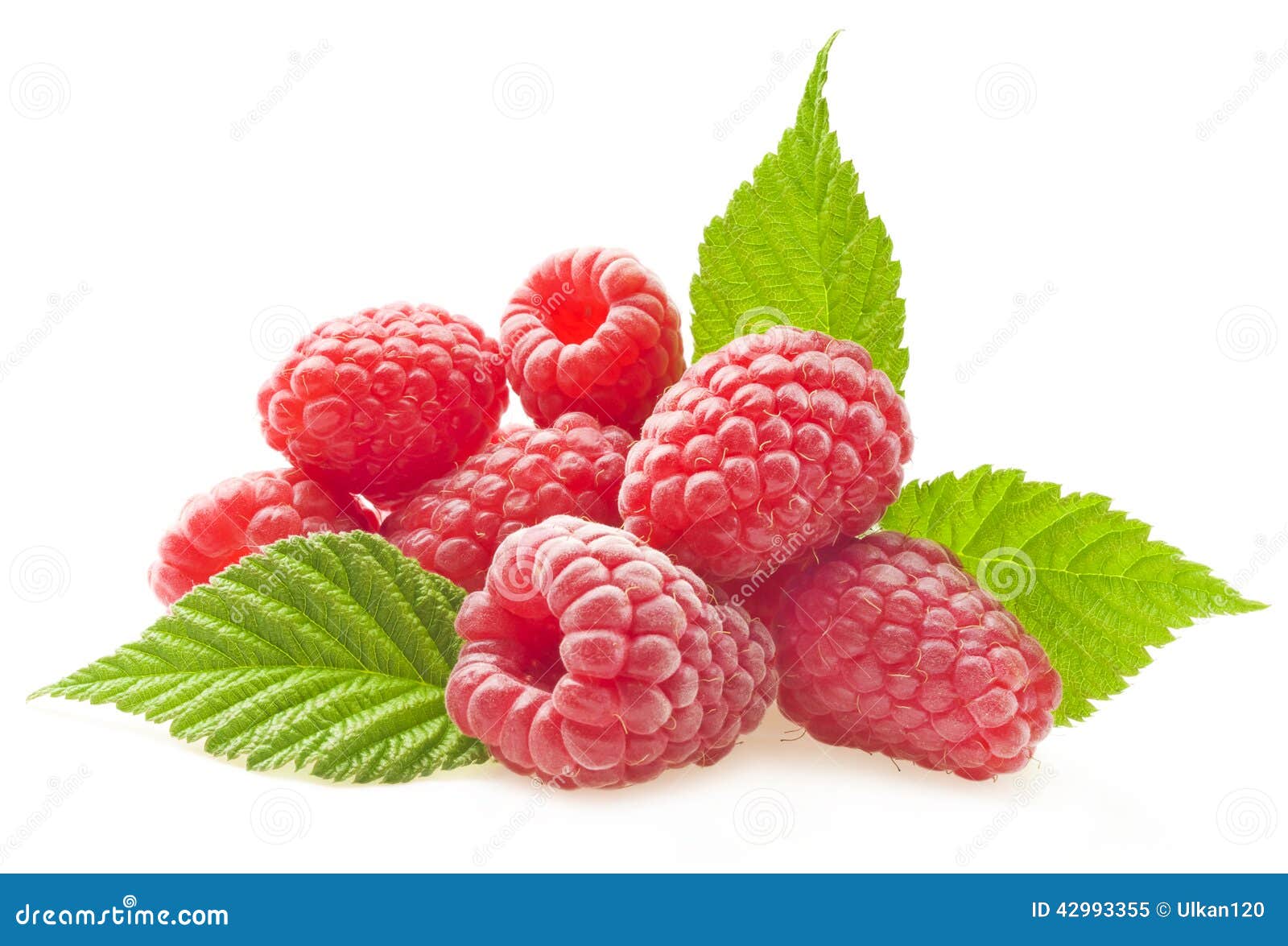 Red berry raspberry stock image. Image of delicious, desert - 42993355