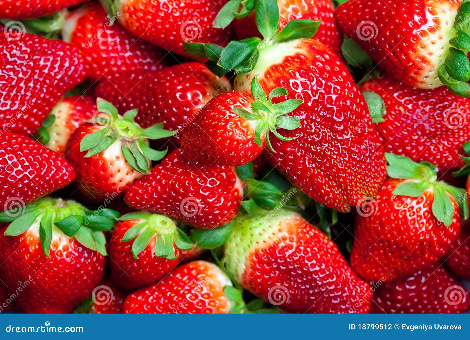Red Big Juicy Ripe Strawberries Stock Photo - Image of backgrounds ...