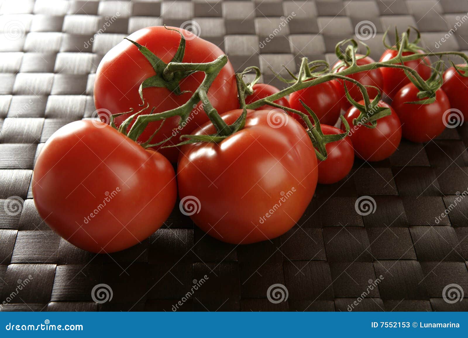 Red Big and Little Cherry Tomatoes Branch Stock Image - Image of close ...