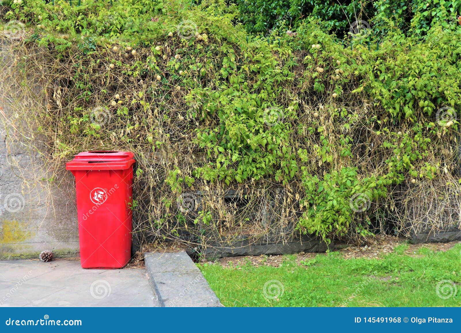 Red bin for medical waste stock photo. Image of disposable - 145491968