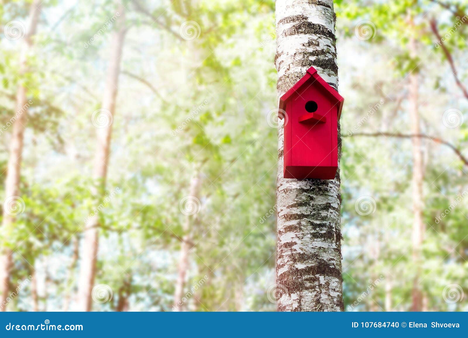 The Red Birdhouse on a Tree in Spring Forest Stock Photo - Image of ...