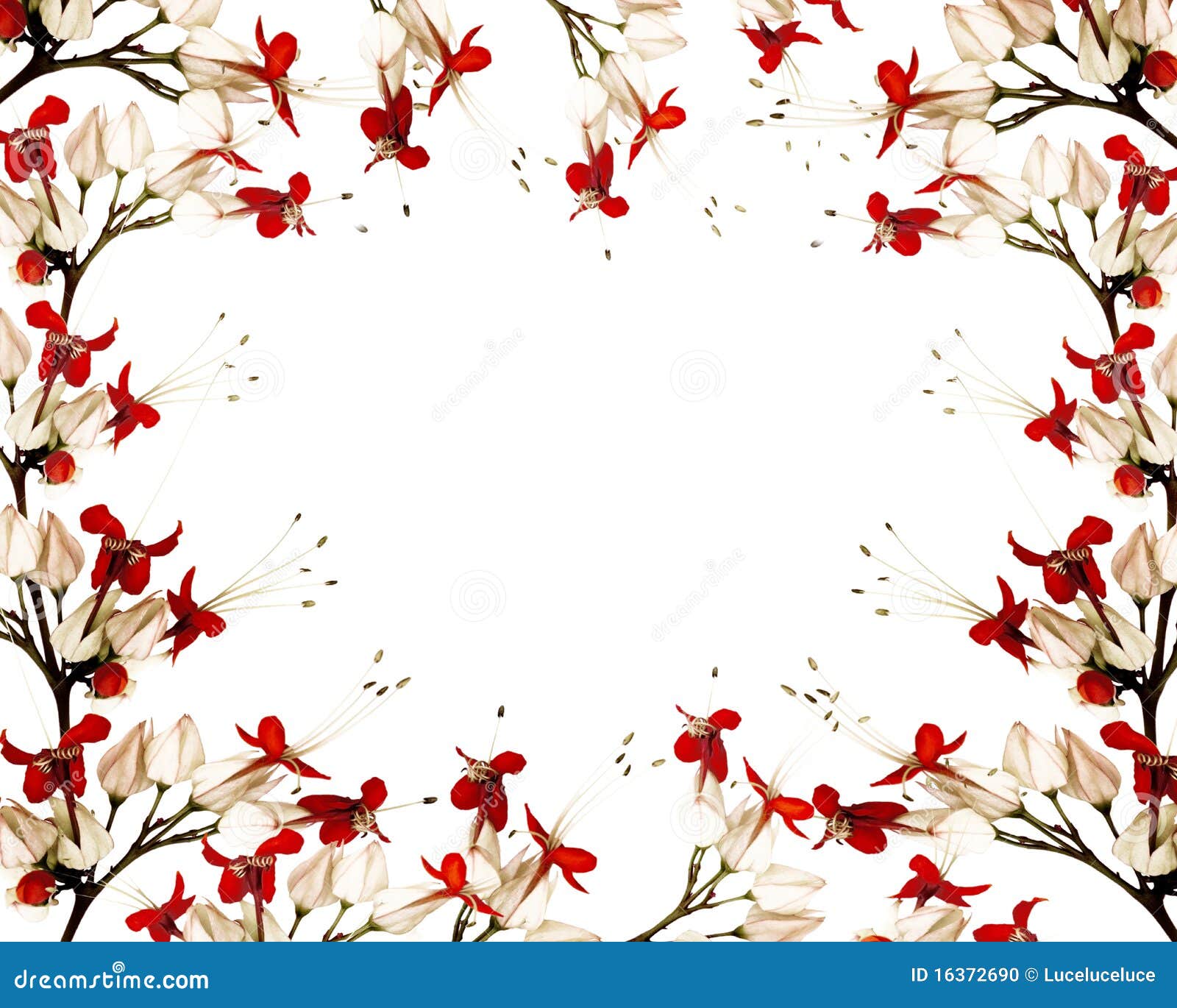 Red and Black Butterfly Flower Frame Stock Illustration - Illustration ...