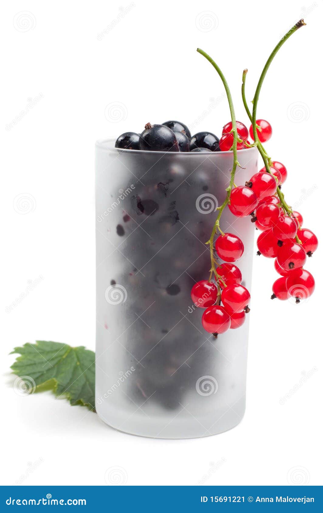 Red and black currant stock image. Image of green, currants - 15691221