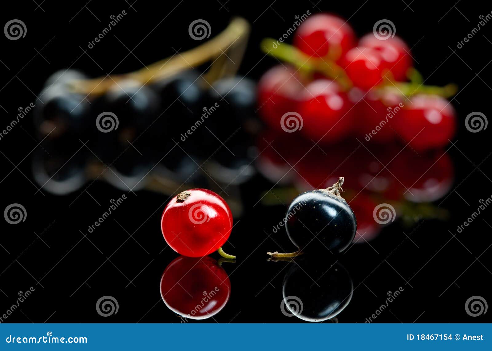 Red and black currant stock photo. Image of ribes, currant - 18467154
