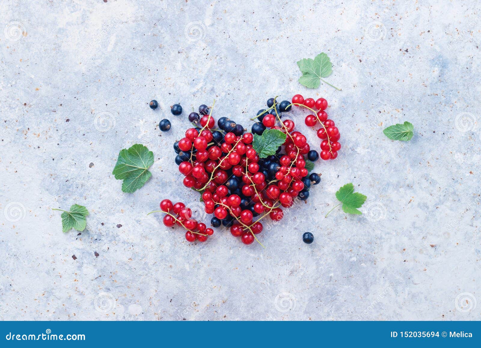 Red and Black Currants with Leaves. Stock Photo - Image of collection ...