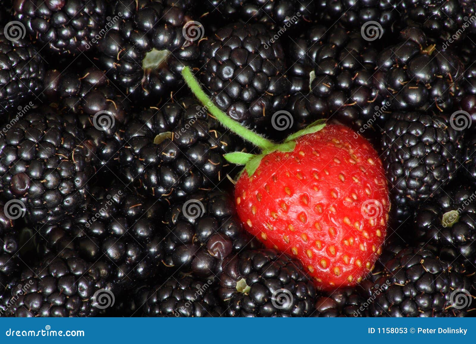 Red and Black Fruits stock image. Image of dessert, healthy - 1158053