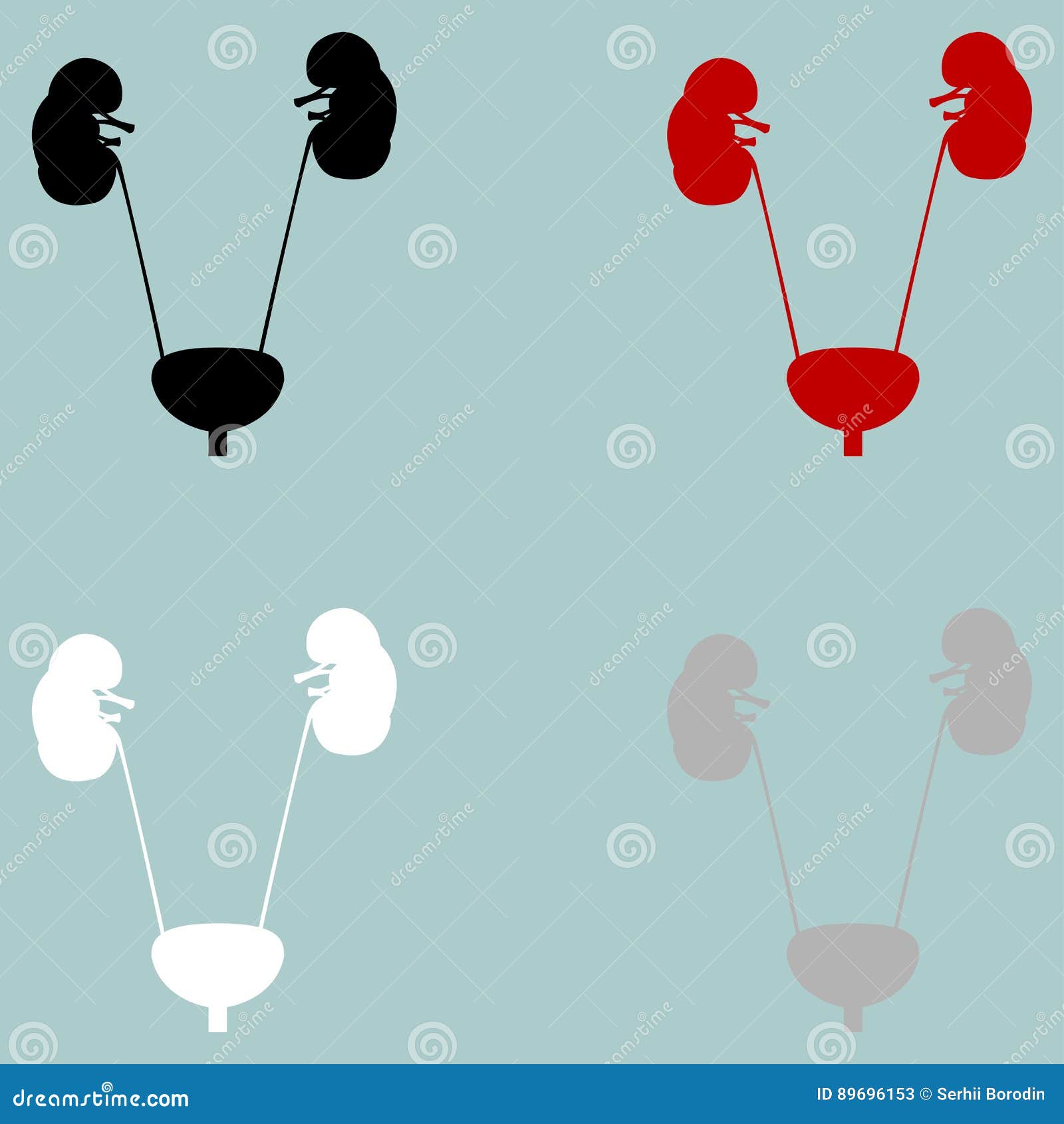 Red Black Grey White Urinary System Icon. Stock Vector - Illustration ...