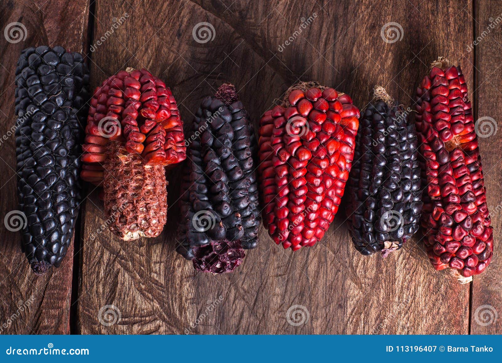 Red and Black Heirloom Corn Cobs Stock Image - Image of vegetarian ...