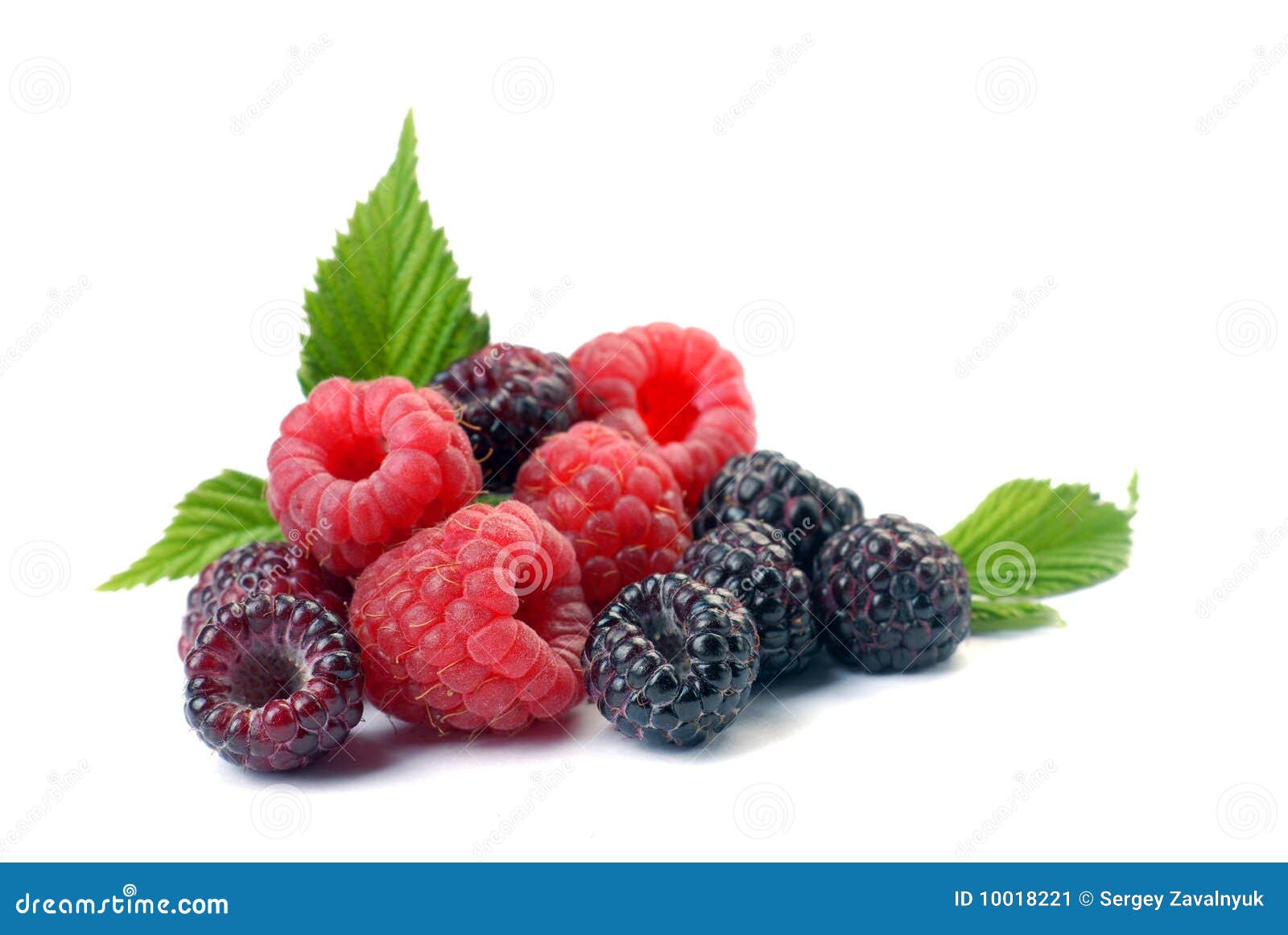 Red and Black Raspberry with Leaves Stock Image - Image of berry, black ...