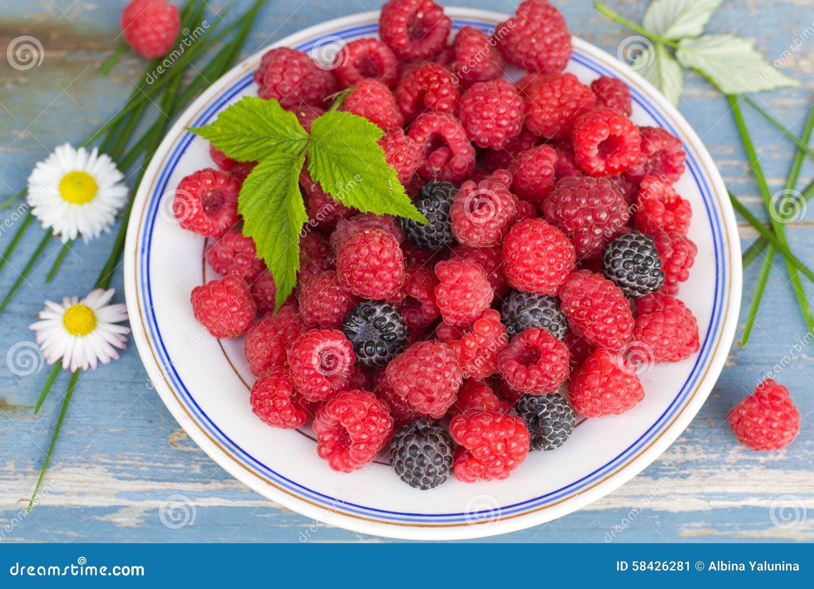 Red and black raspberry stock image. Image of ripe, sweet - 58426281