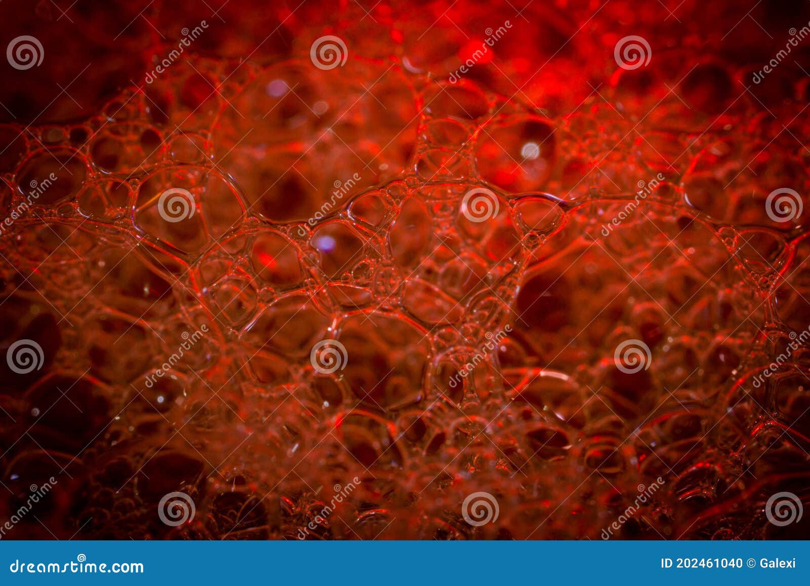 Red blood bubbles stock photo. Image of blood, view - 202461040