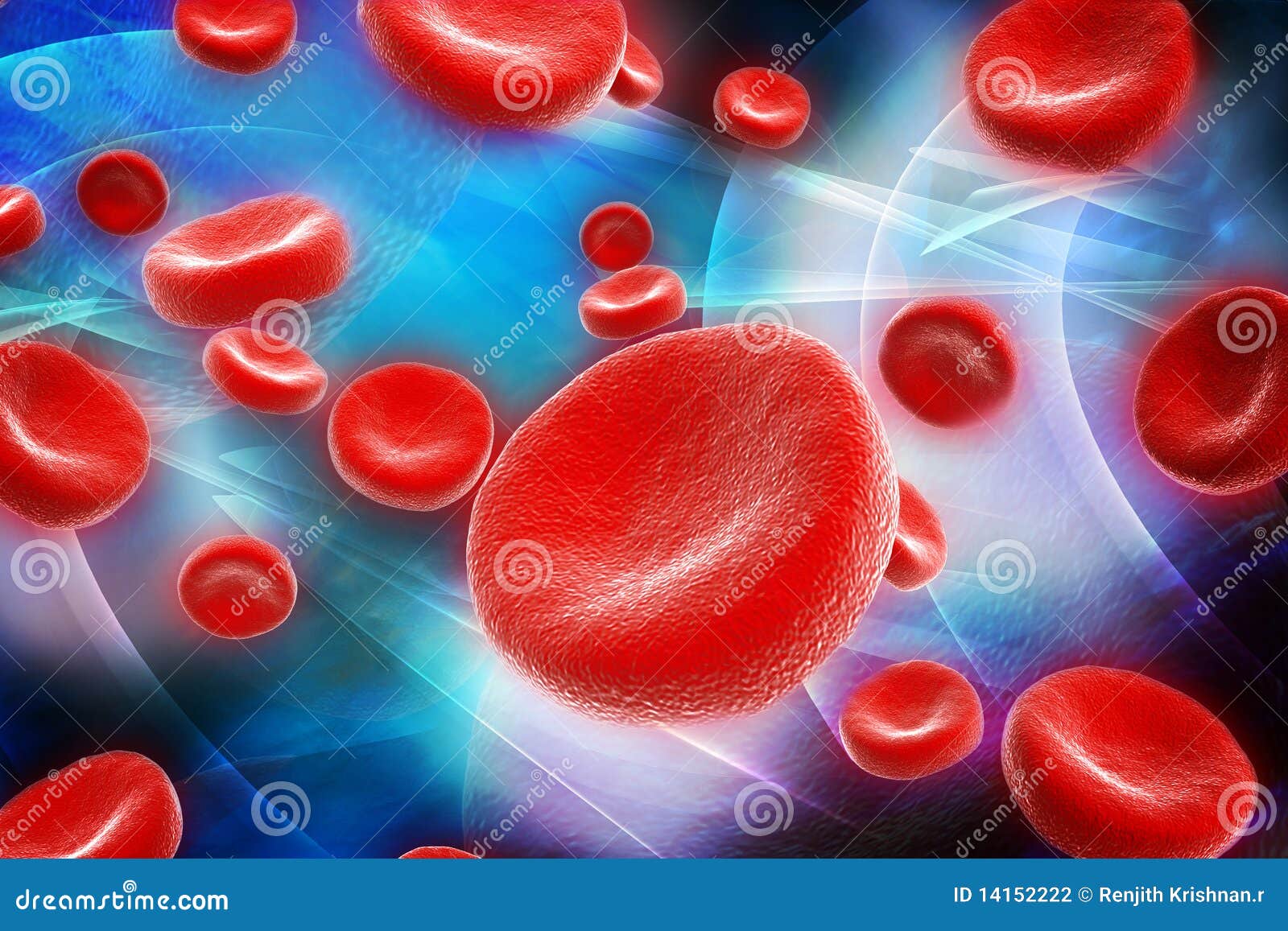Red blood cell stock illustration. Illustration of health - 14152222