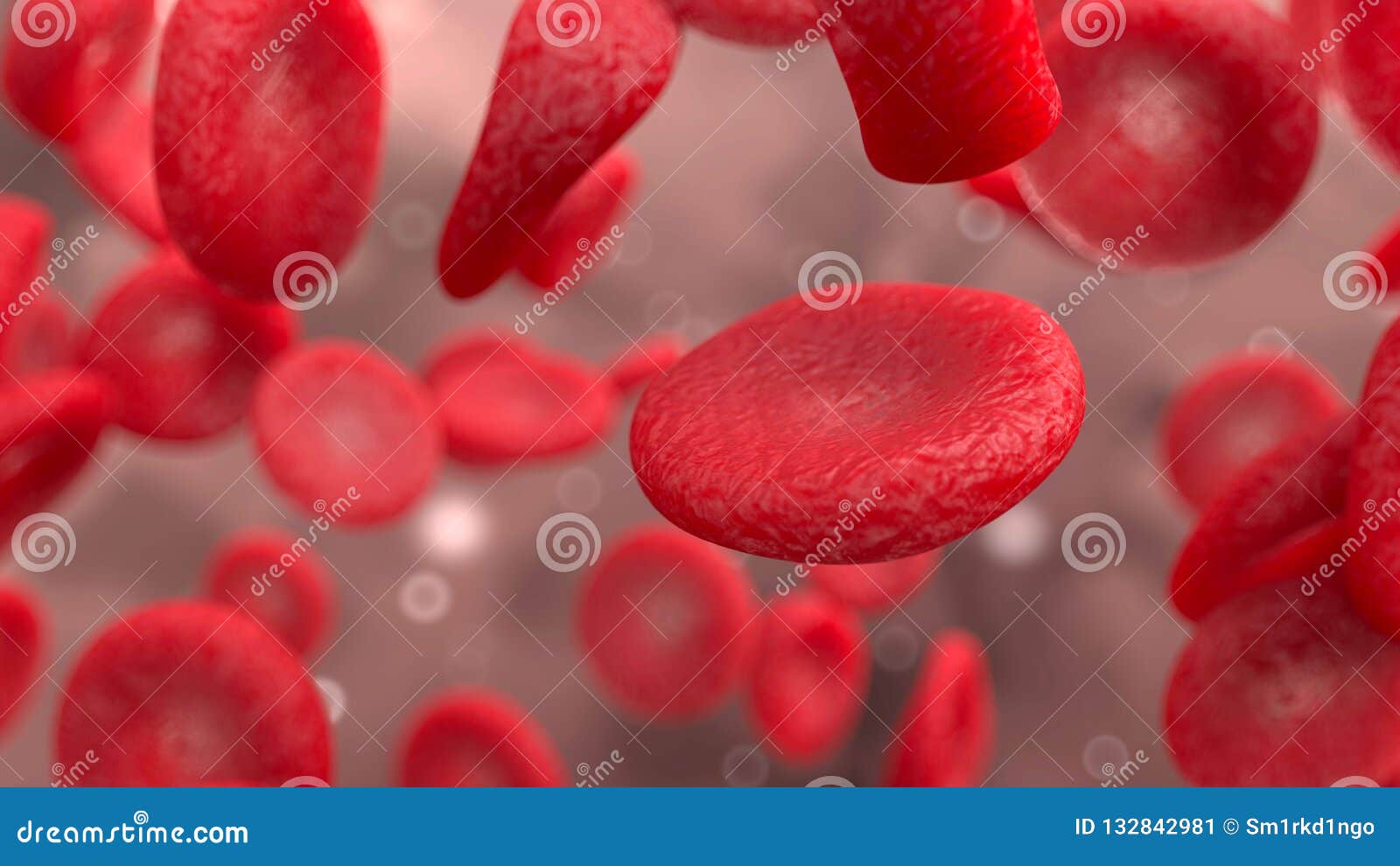 Red Blood Cell Erythrocyte Under Microscope Stock Illustration ...