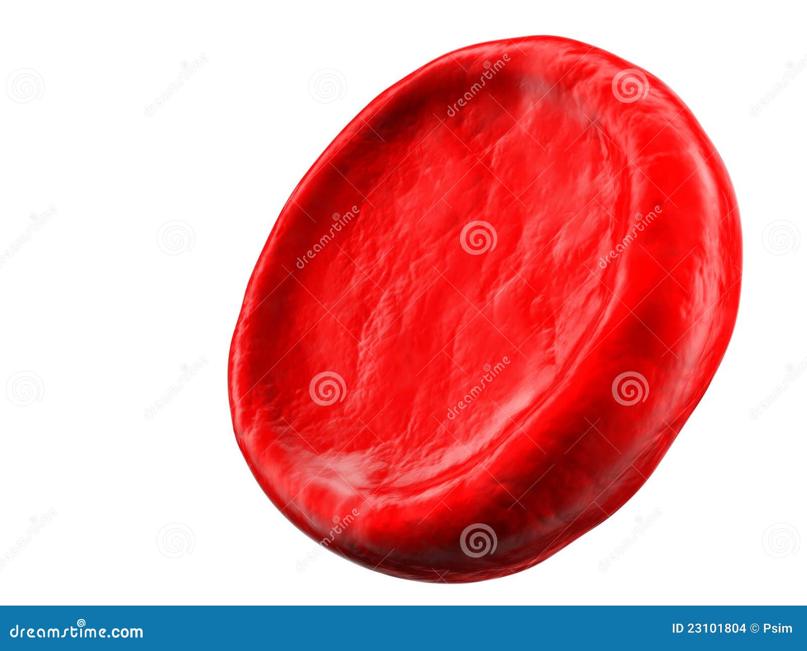 Red blood cell isolated stock illustration. Illustration of abstract ...