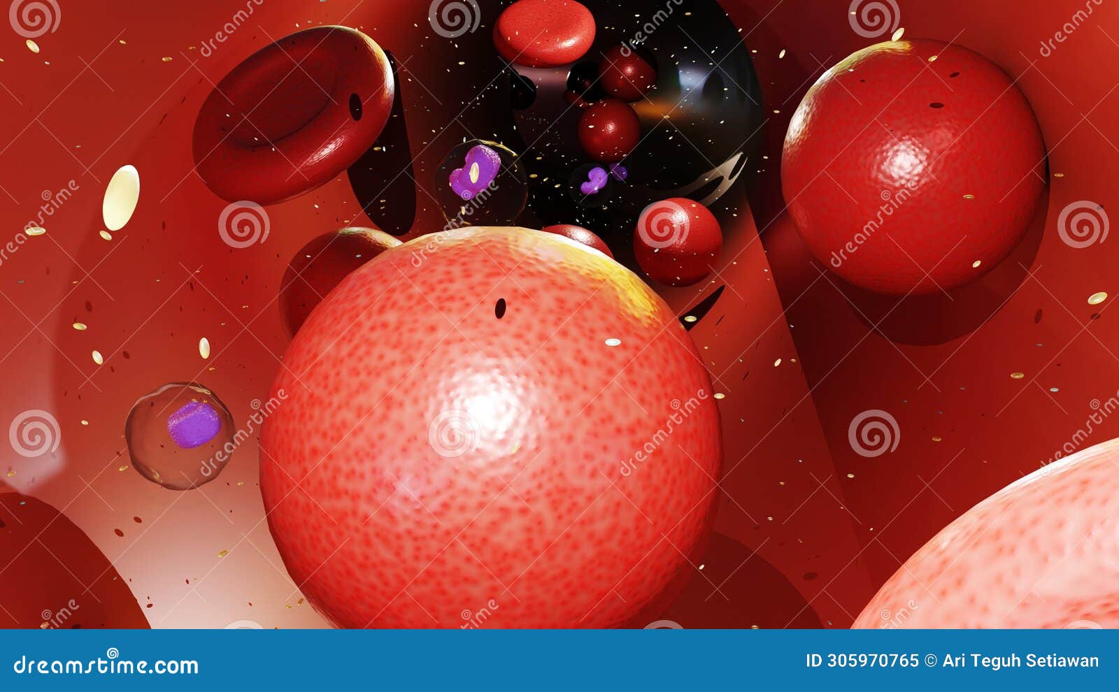 A Red Blood Cell (RBC) that is Spherical in Shape or Spherocyte Stock ...