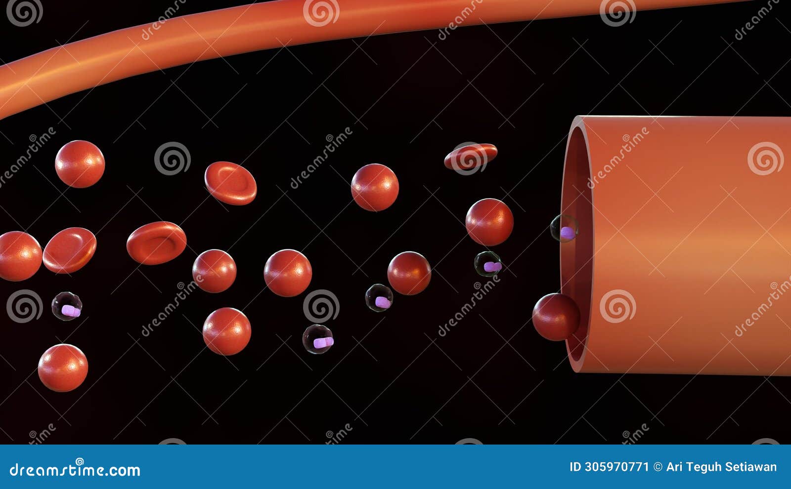 A Red Blood Cell (RBC) that is Spherical in Shape or Spherocyte Stock ...