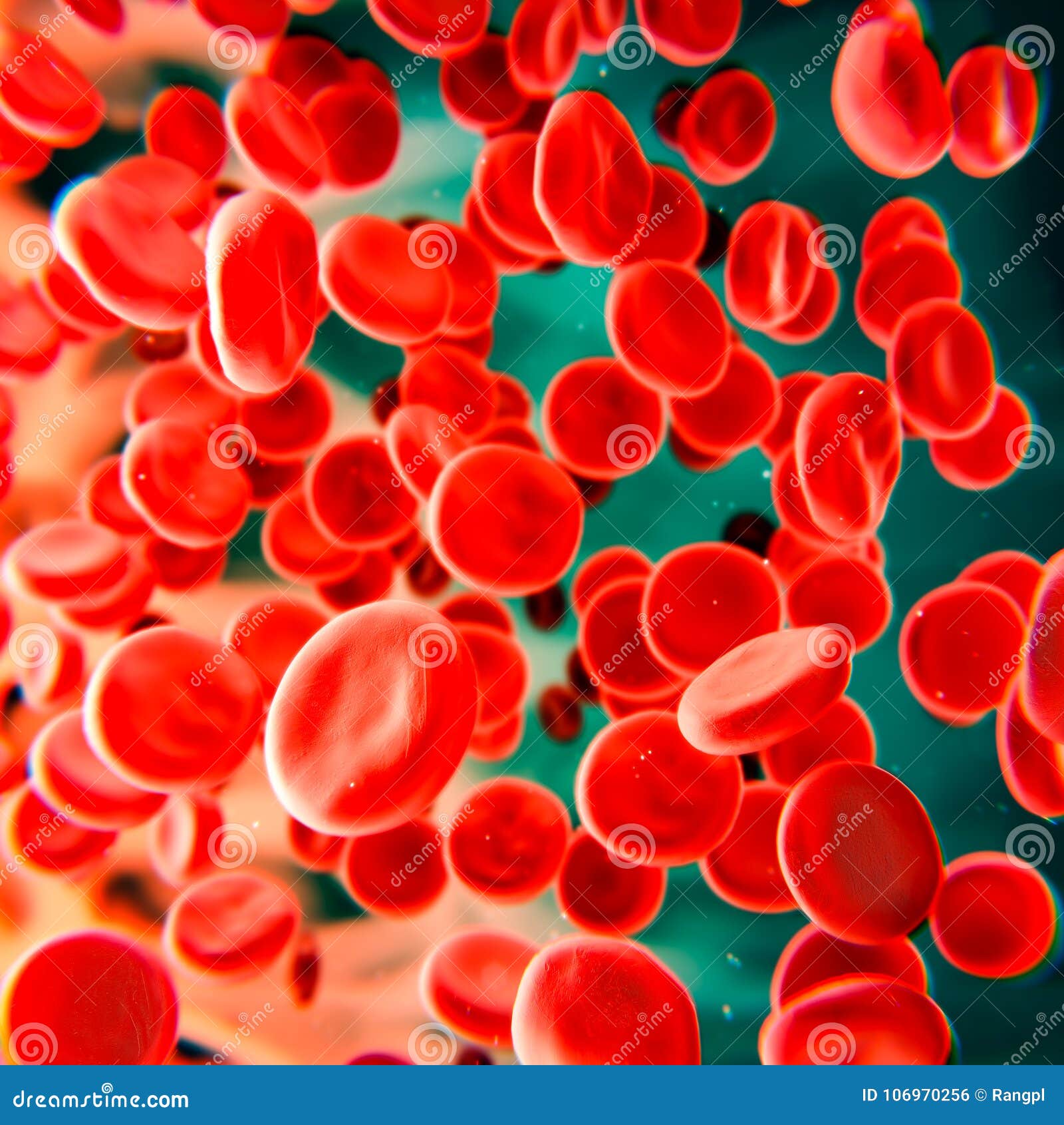 Red Blood Cells Floating in Plasma Stock Illustration - Illustration of ...
