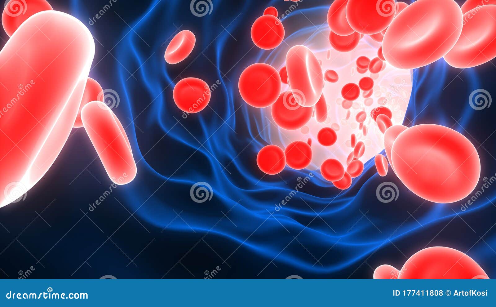 Red Blood Cells Flowing through Human Circulatory System 3d Rendering ...