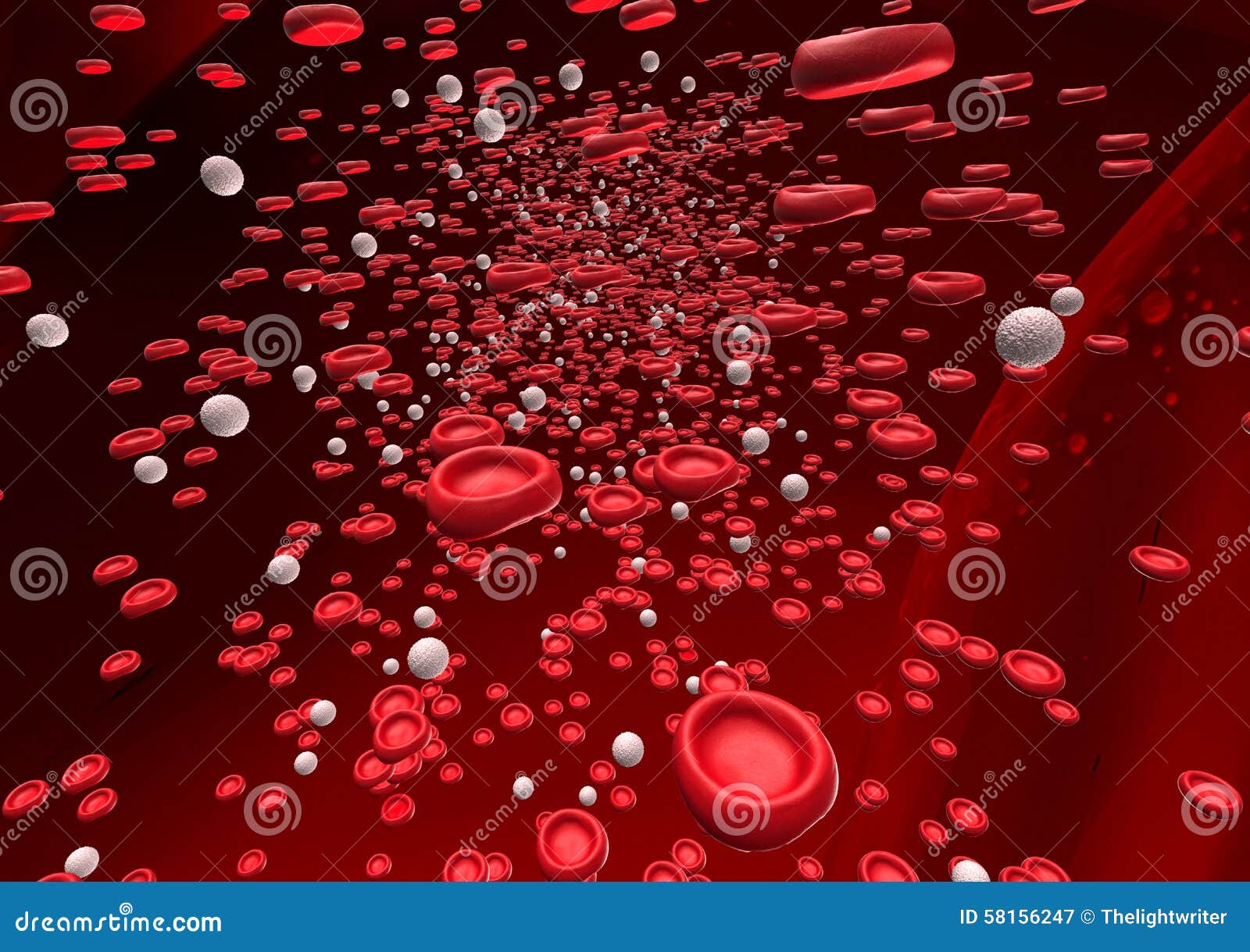 Red Blood Cells Flowing Throw an Artery Stock Image - Image of ...
