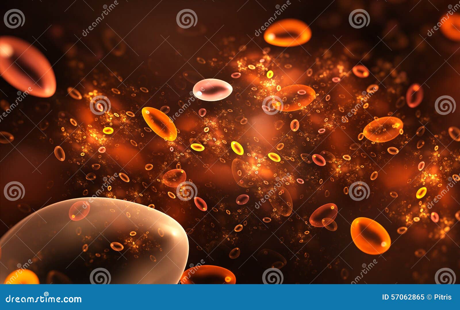 Red Blood Cells Flowing through Vein Stock Illustration - Illustration ...