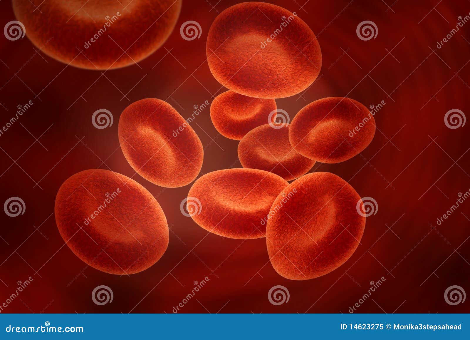 Red Blood Cells - Illustration Stock Illustration - Illustration of ...