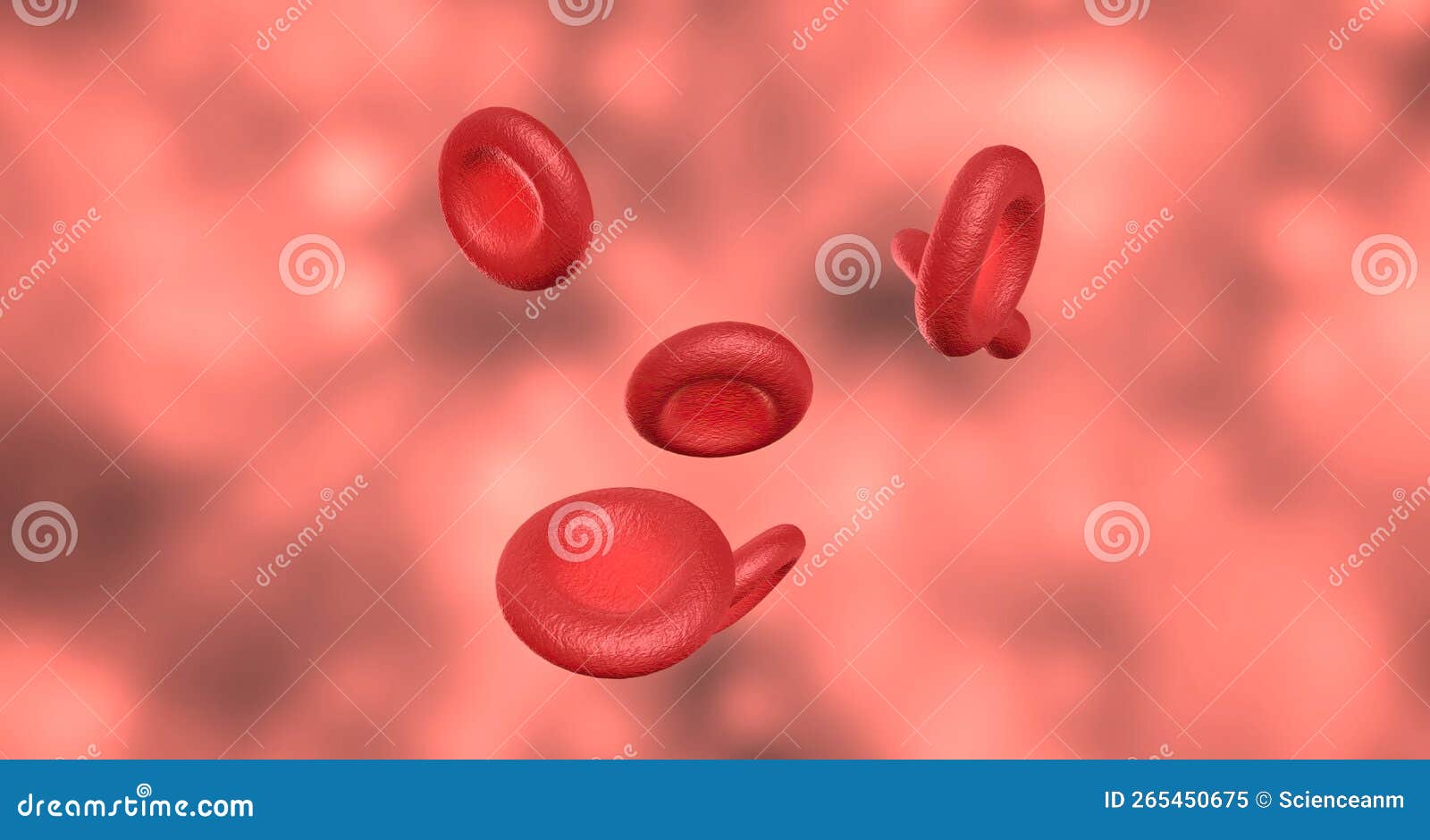 Red Blood Cells are Important Mediators of the Innate Immune System ...