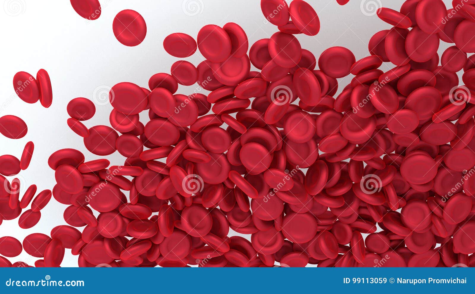 Red Blood Cells Isolated on White Background. Stock Illustration ...