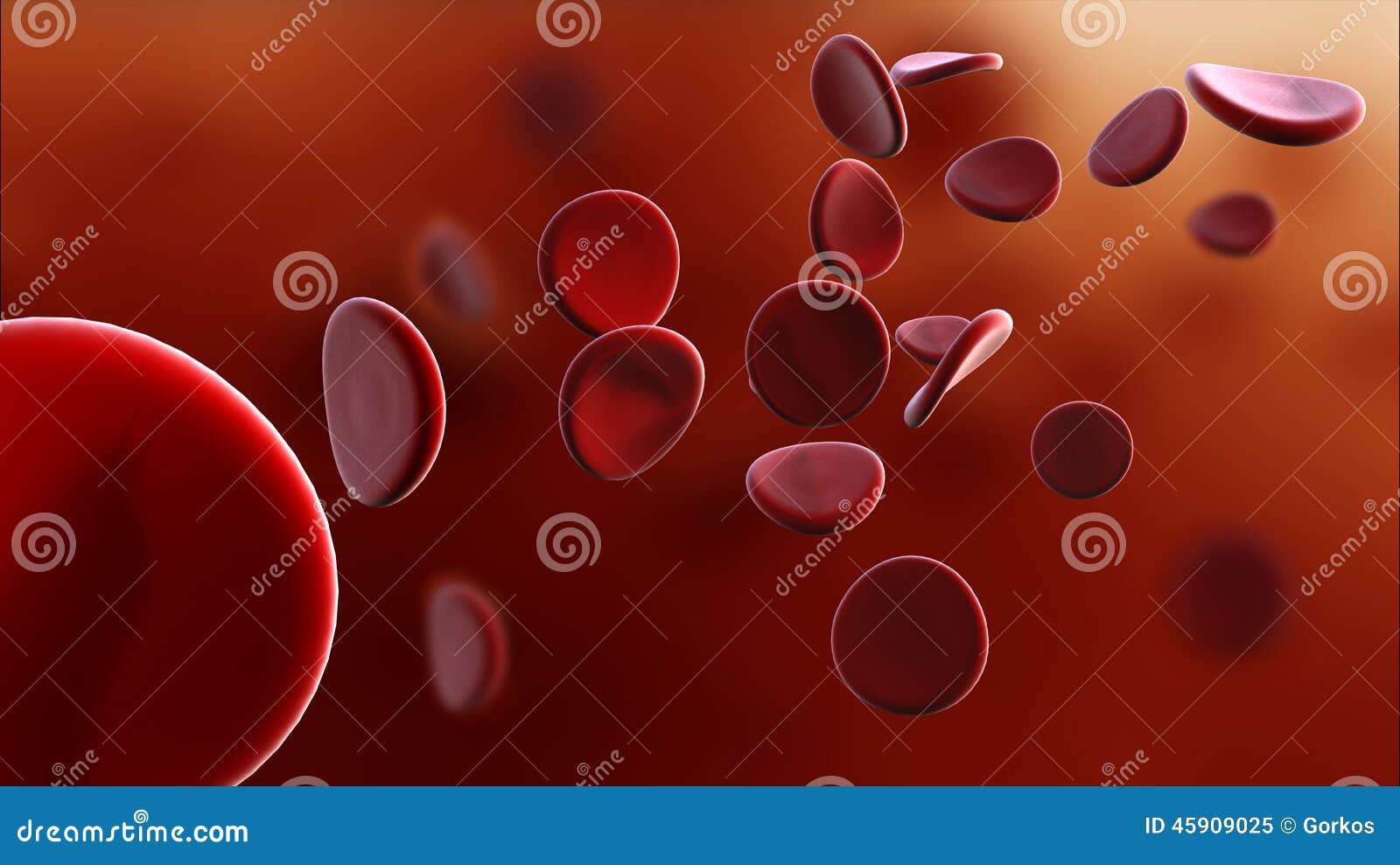 Red blood cells stock illustration. Illustration of macro - 45909025