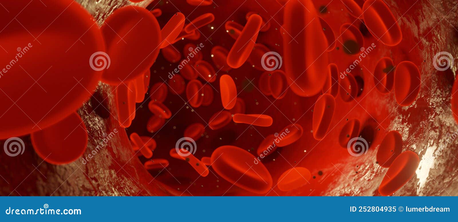 Red Blood Cells Moving in Blood Vessel Panorama Style. 3D Rendering ...