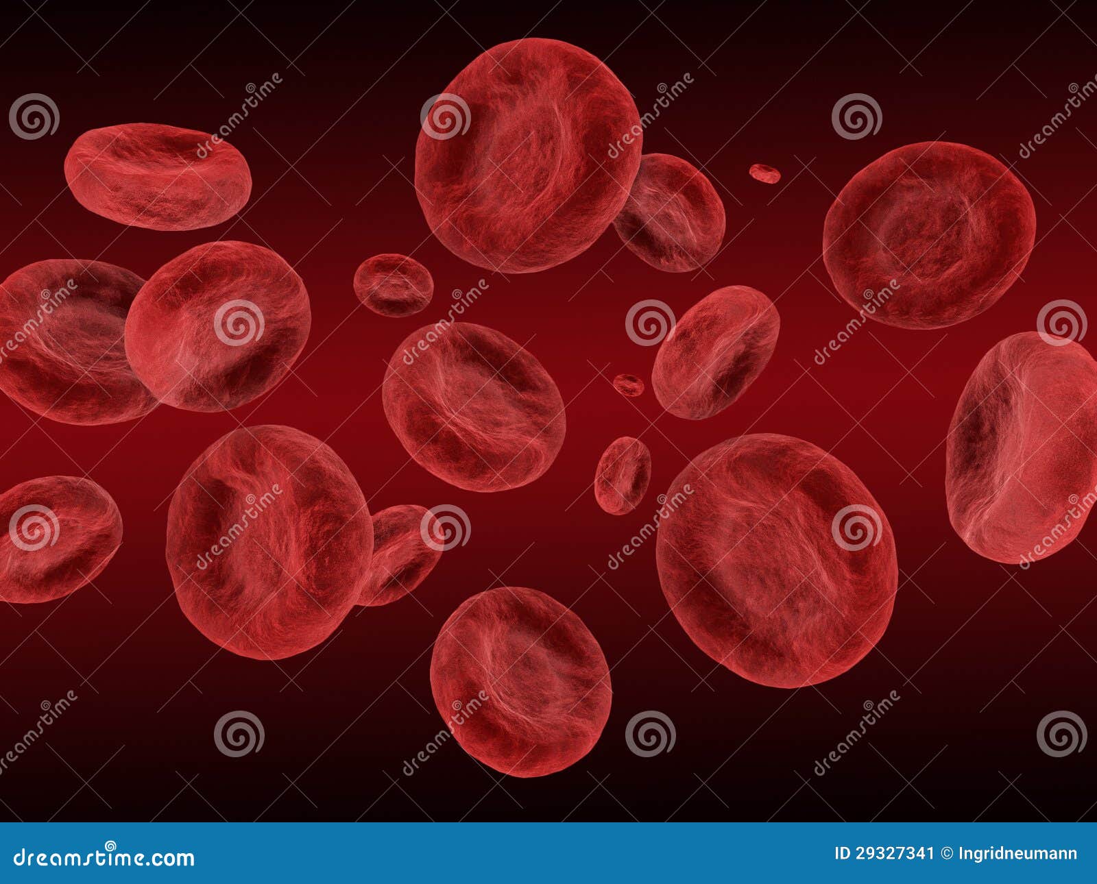Red Blood Cells render stock illustration. Illustration of flow - 29327341