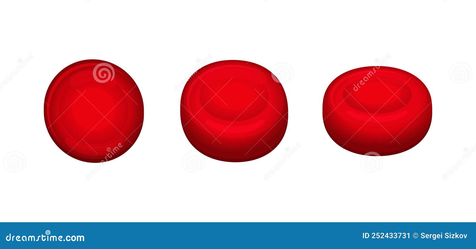 Red Blood Cells Set on White Background. Vector Stock Vector ...