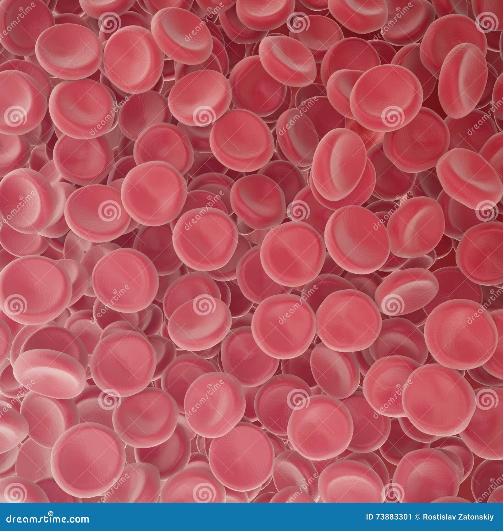 Red Blood Cells in Top View. 3d Illustration High Quality Stock ...