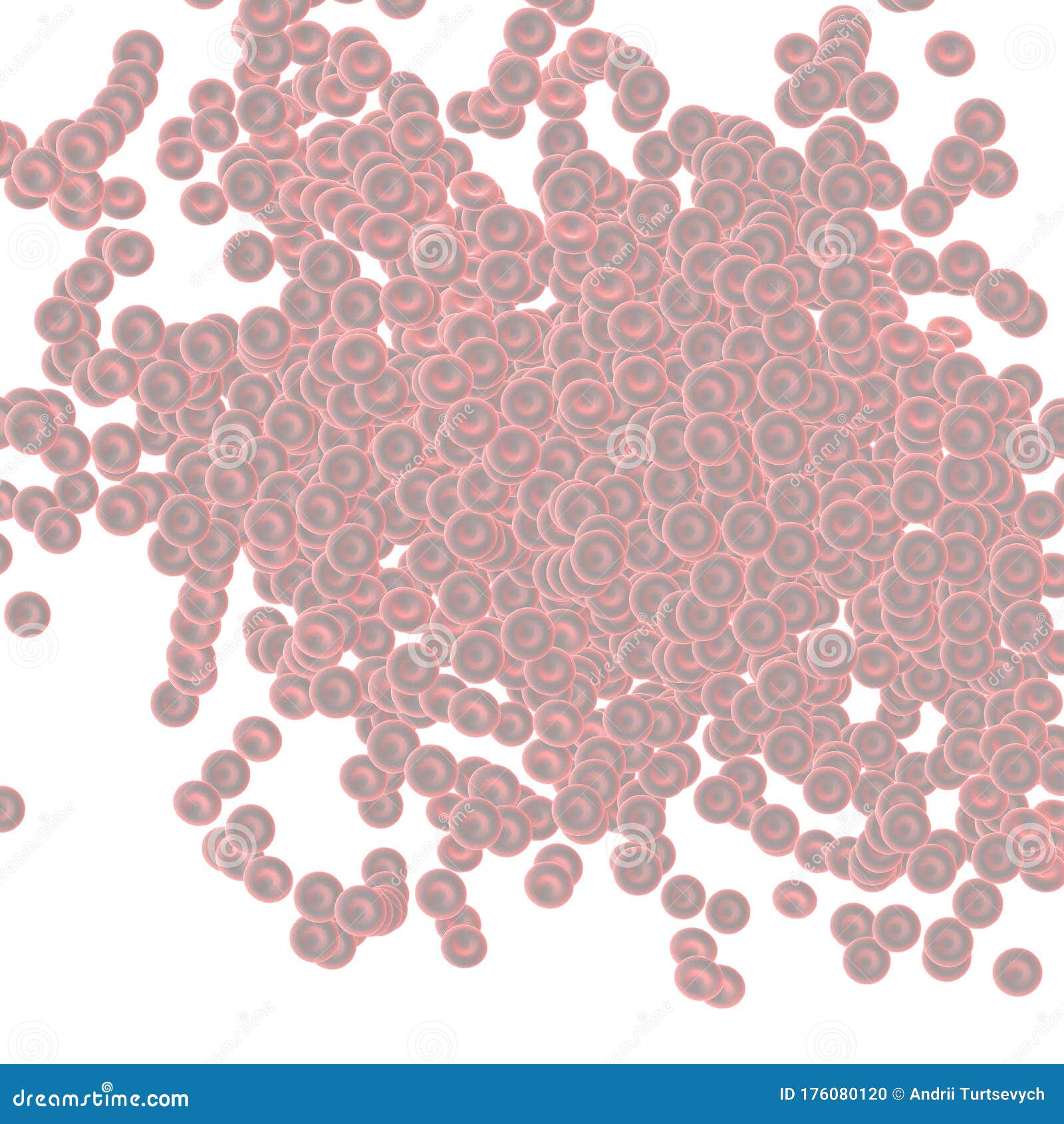 Red Blood Cells Red Blood Cells Under the Microscope Stock Illustration ...