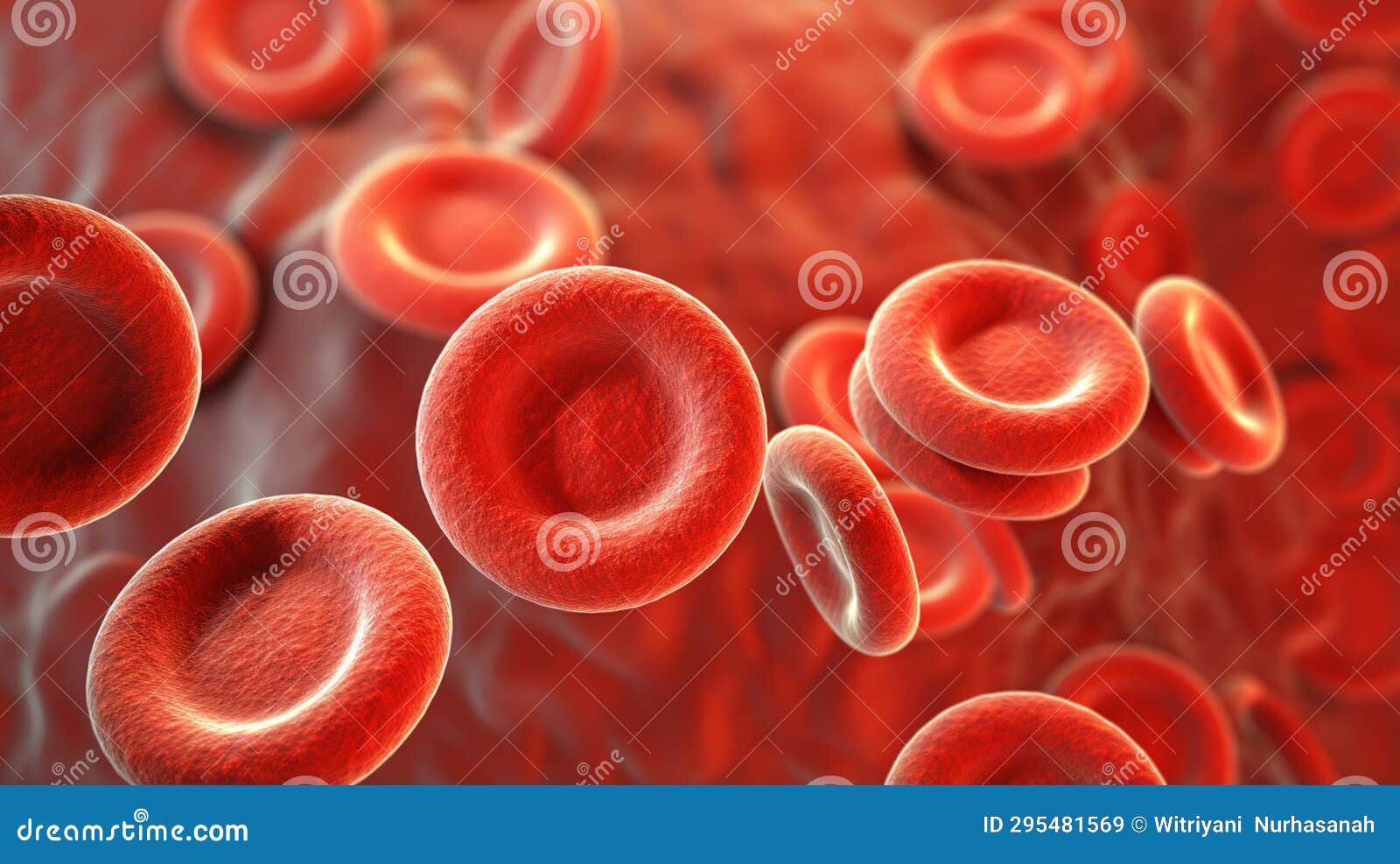 Red Blood Cells Under Microscope, Scientific Illustration Blood Cells ...
