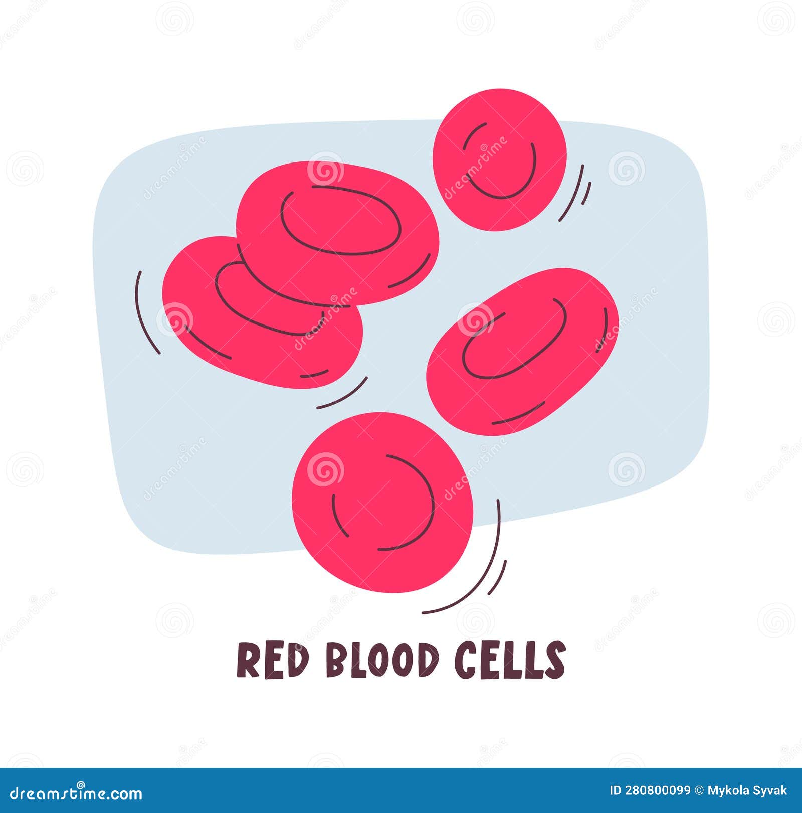 Red Blood Cells stock vector. Illustration of immunity - 280800099