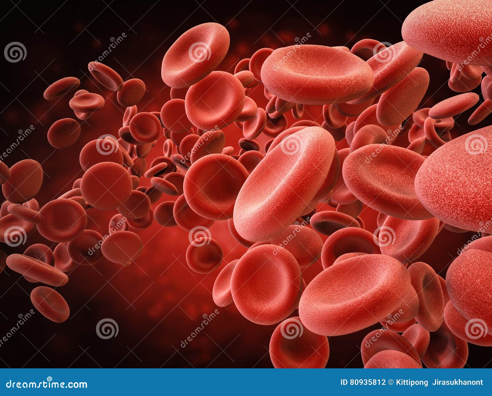 Red blood cells in vein stock photo. Image of blood, medical - 80935812