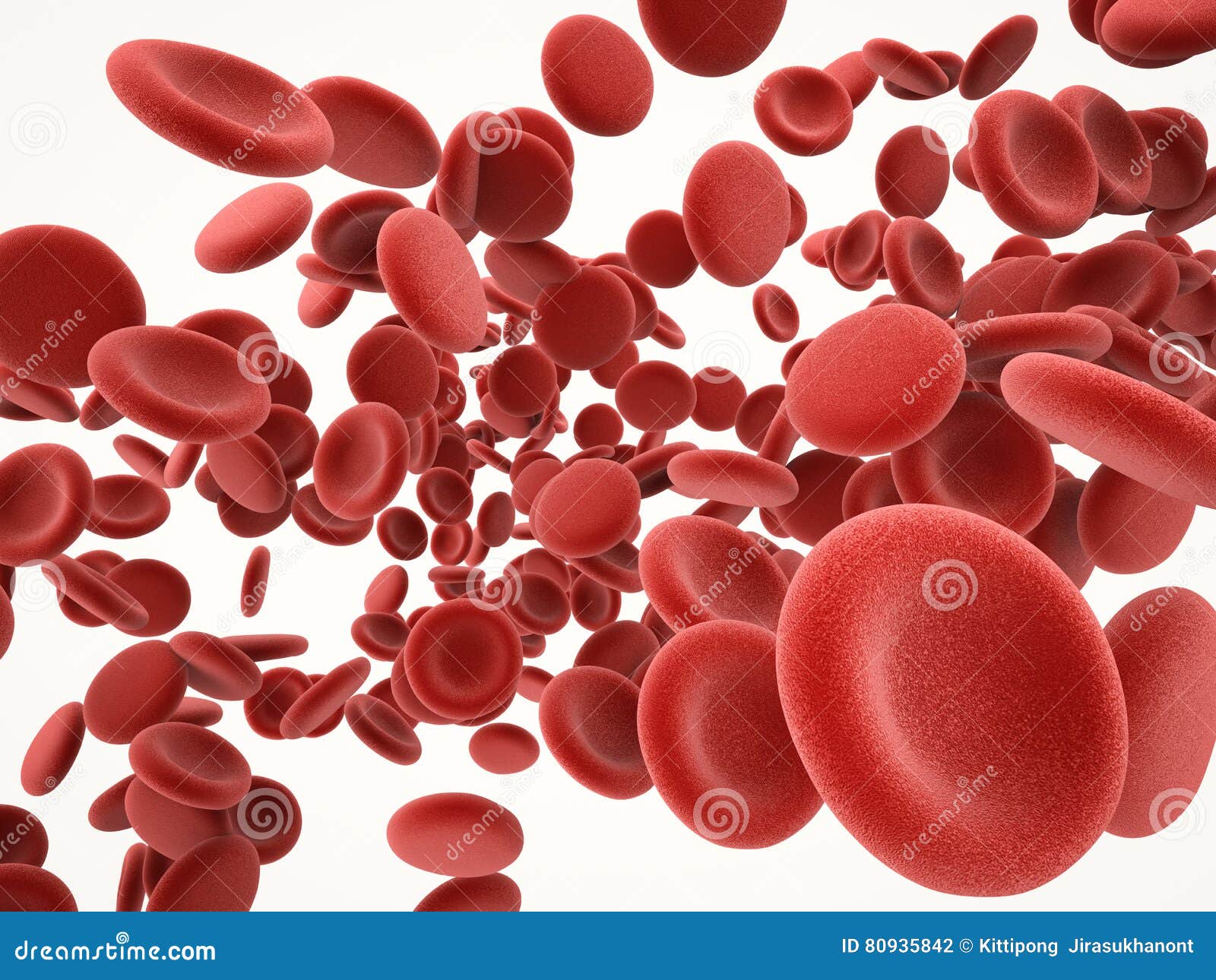Red blood cells in vein stock photo. Image of science - 80935842