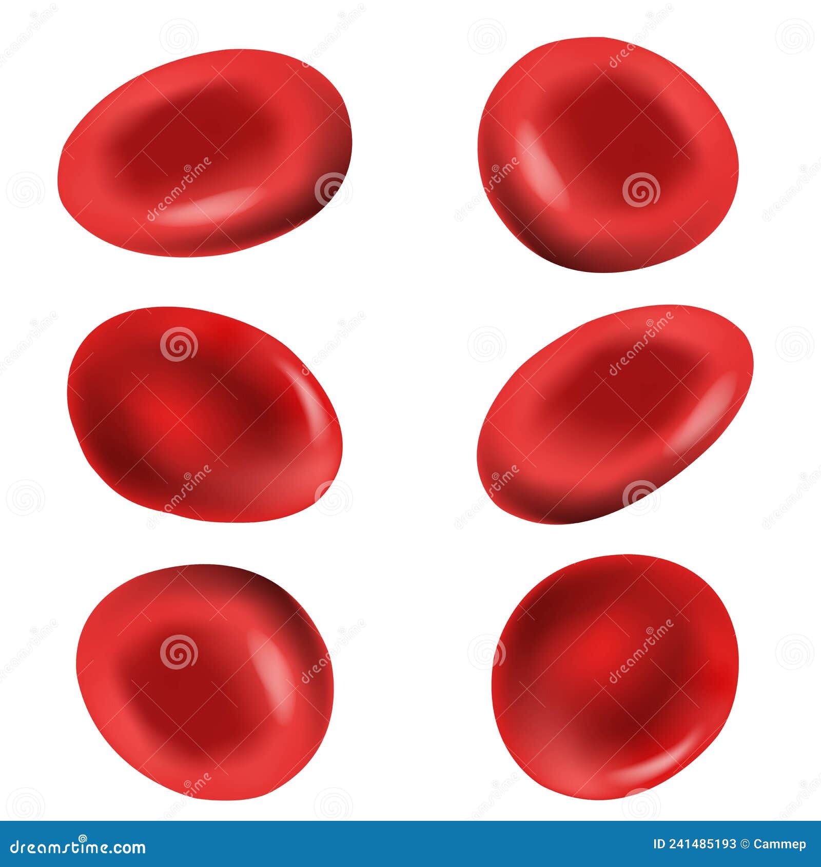 Red Blood Cells with White Background Stock Vector - Illustration of ...