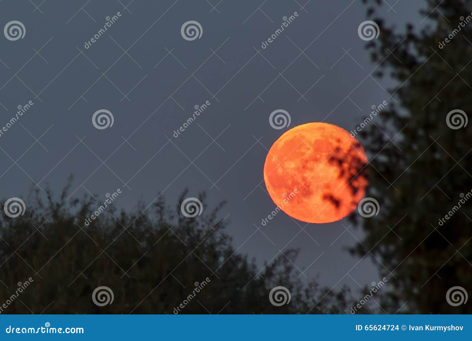 Red Blood Moon at Blue Twilight Sky Stock Photo - Image of black, dark ...