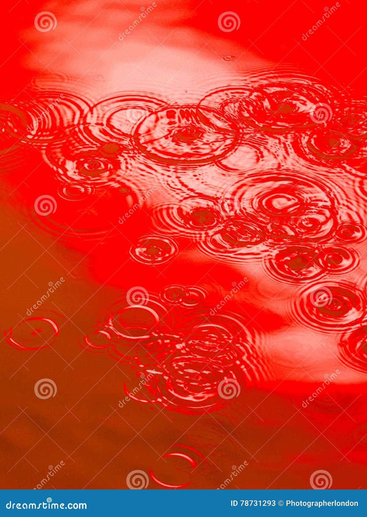 Red Blood puddles stock image. Image of nature, weather - 78731293