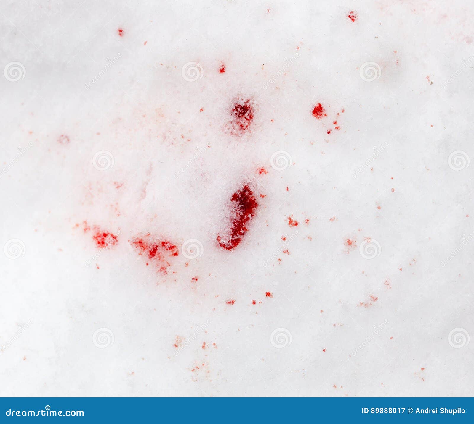 Red blood on the snow stock image. Image of abstract - 89888017