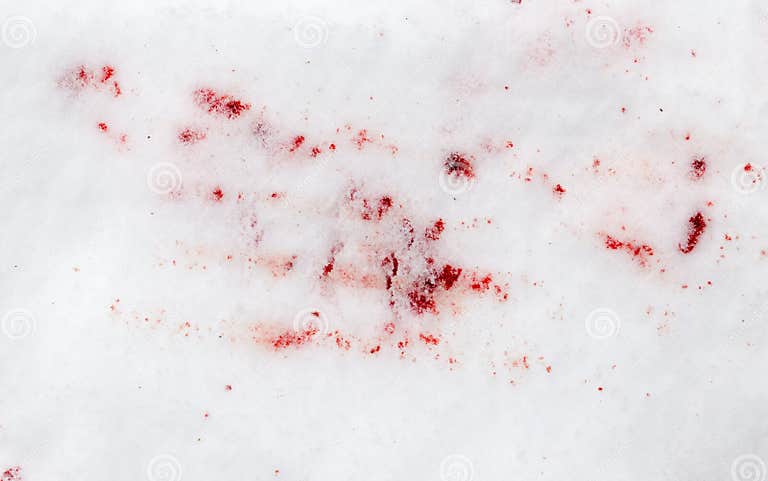 Red blood on the snow stock image. Image of snow, track - 90384087