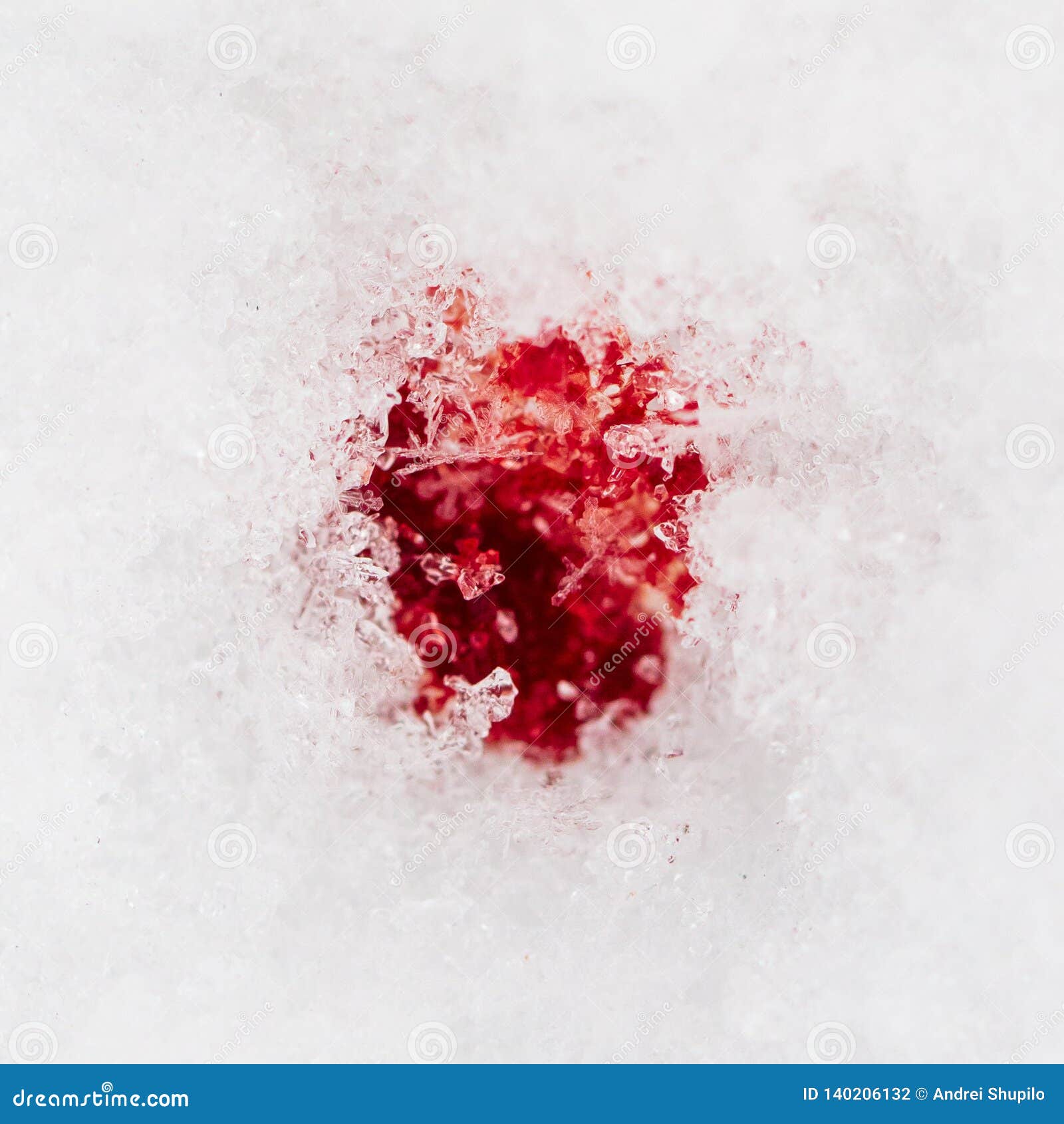 Red Blood on White Snow As a Background Stock Photo - Image of texture ...