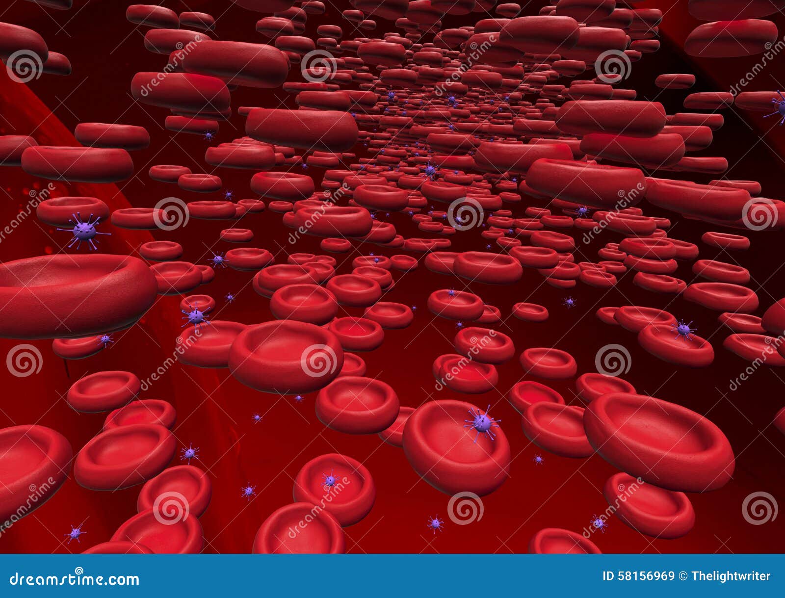 Red Bloodcells Flowing Throw an Artery Stock Illustration ...