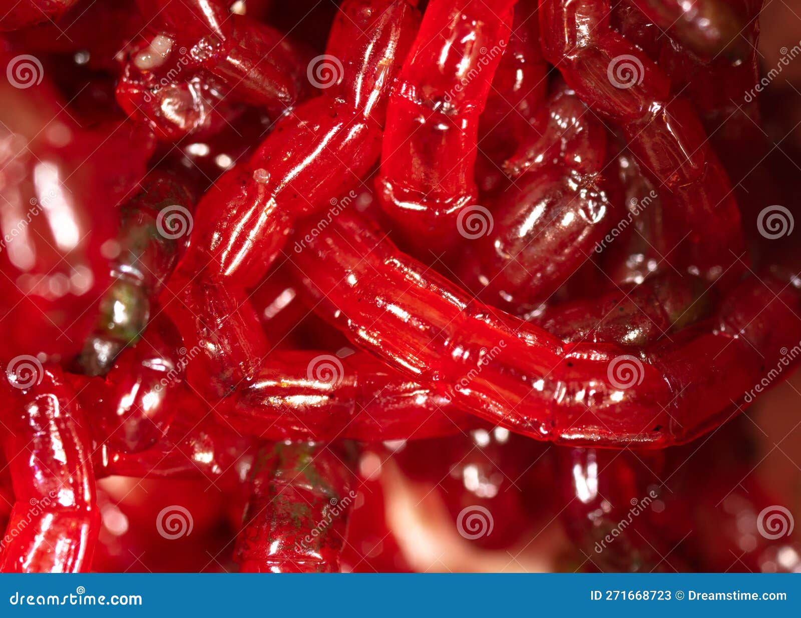 Red Bloodworm As a Background. Macro Stock Image - Image of macro ...