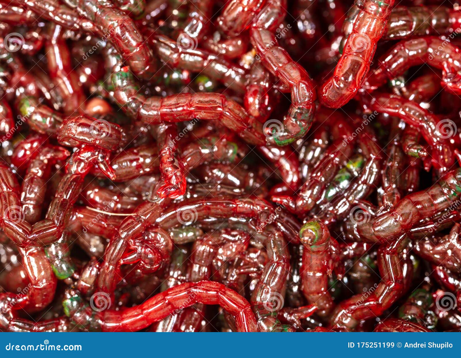 Red Bloodworm Worms As A Background. Royalty-Free Stock Photography ...