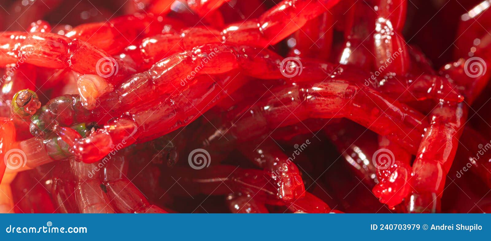 Red Bloodworm Worms As A Background. Royalty-Free Stock Photography ...