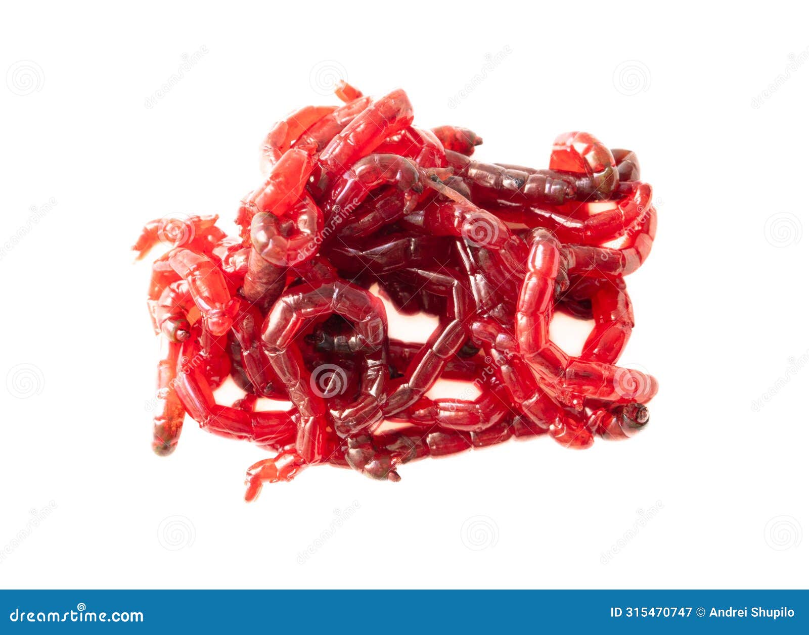 Red Bloodworms Isolated on White Background Stock Image - Image of ...