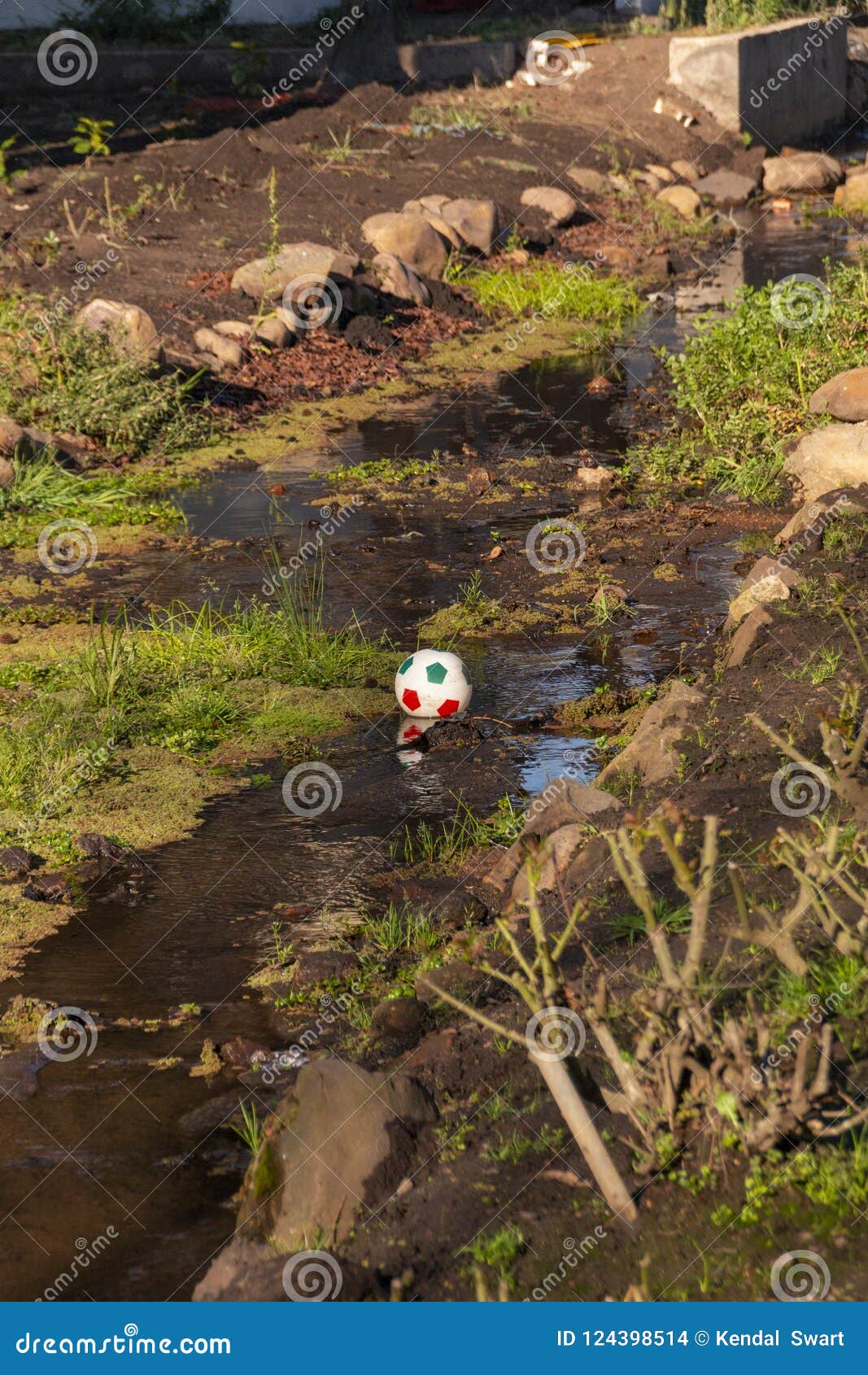 A Ball in a River stock photo. Image of blue, debris - 124398514